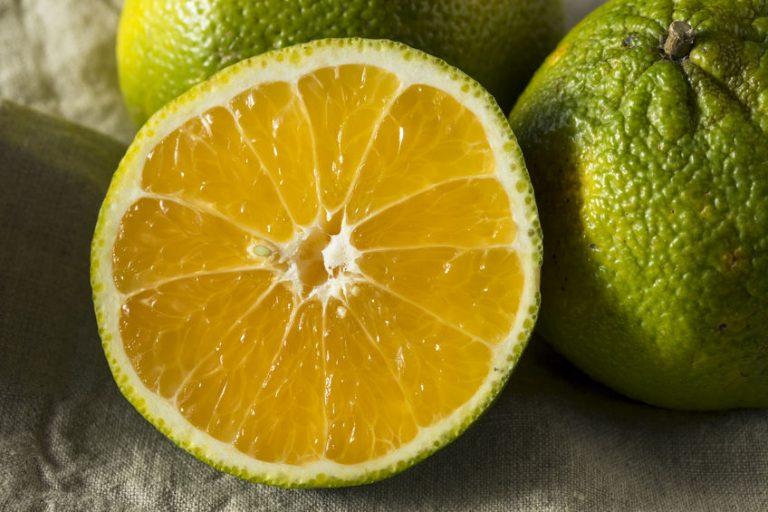 Ugli : Tout savoir sur ce fruit qui est aussi un marque de commerce