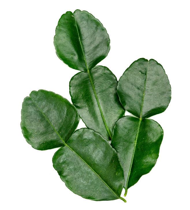 Combava : découvrez tous les secrets de ce fruit inattendu - Alex&Alex