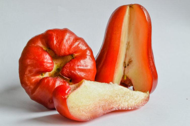 Fruits en j et légumes en j : la liste complète en Français - Alex & Alex