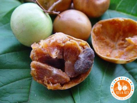 Vavangue : le guide complet de ce fruit originaire de Madagascar - A&A