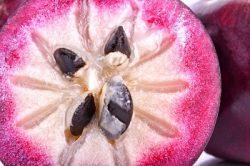 Caïmite (fruit) : un drôle de fruit antillais à découvrir - Alex&Alex