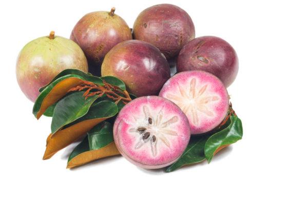 Caïmite (fruit) : un drôle de fruit antillais à découvrir - Alex&Alex