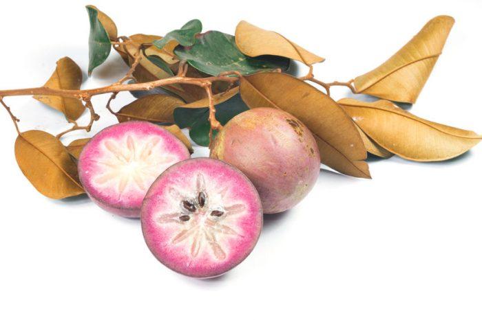 Caïmite (fruit) : un drôle de fruit antillais à découvrir - Alex&Alex