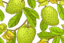 Zatte : le guide complet de ce fruit originaire d'Afrique de l'Ouest