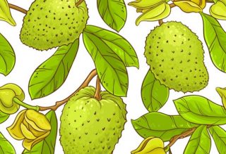 Zatte : le guide complet de ce fruit originaire d'Afrique de l'Ouest