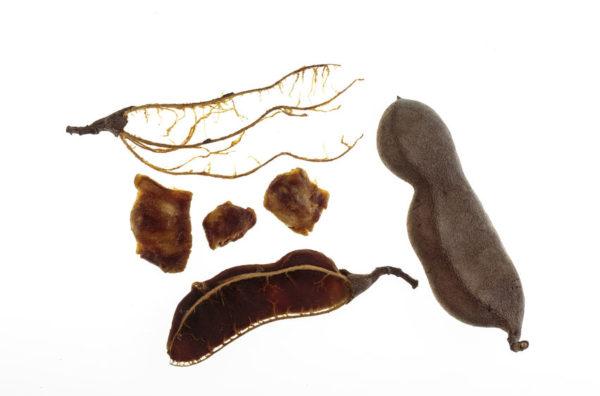 Tamarin (fruit): origine, goût, saison, tout savoir en 2mn - Alex&Alex